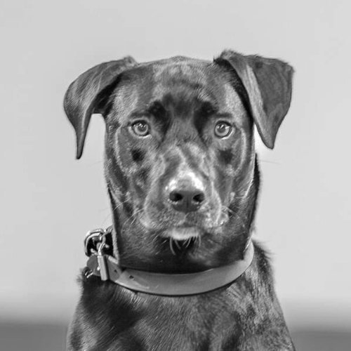 People — Startup Dunedin