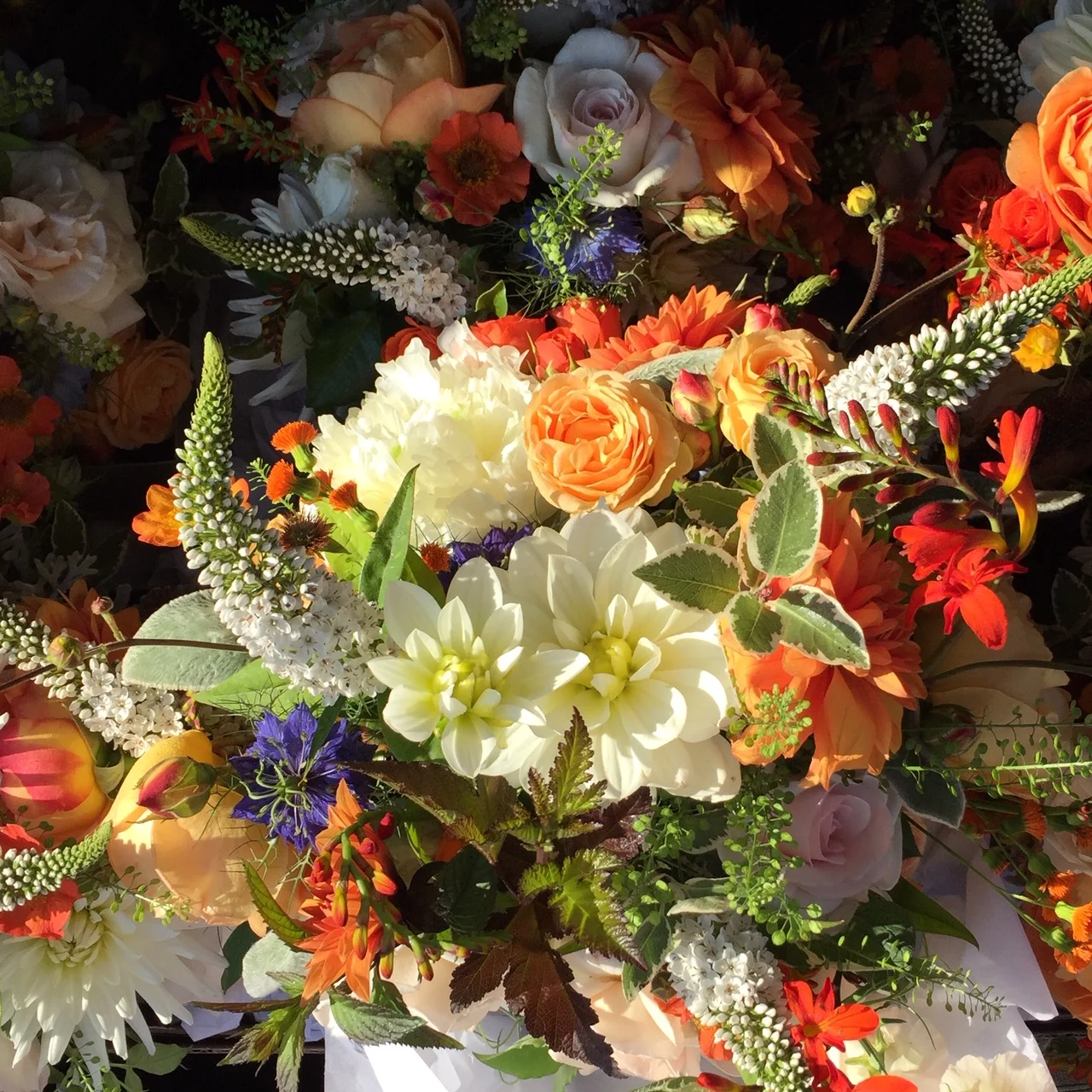 Daphne and Doreen Flower Studio — Most Curious - The Wedding Show for ...