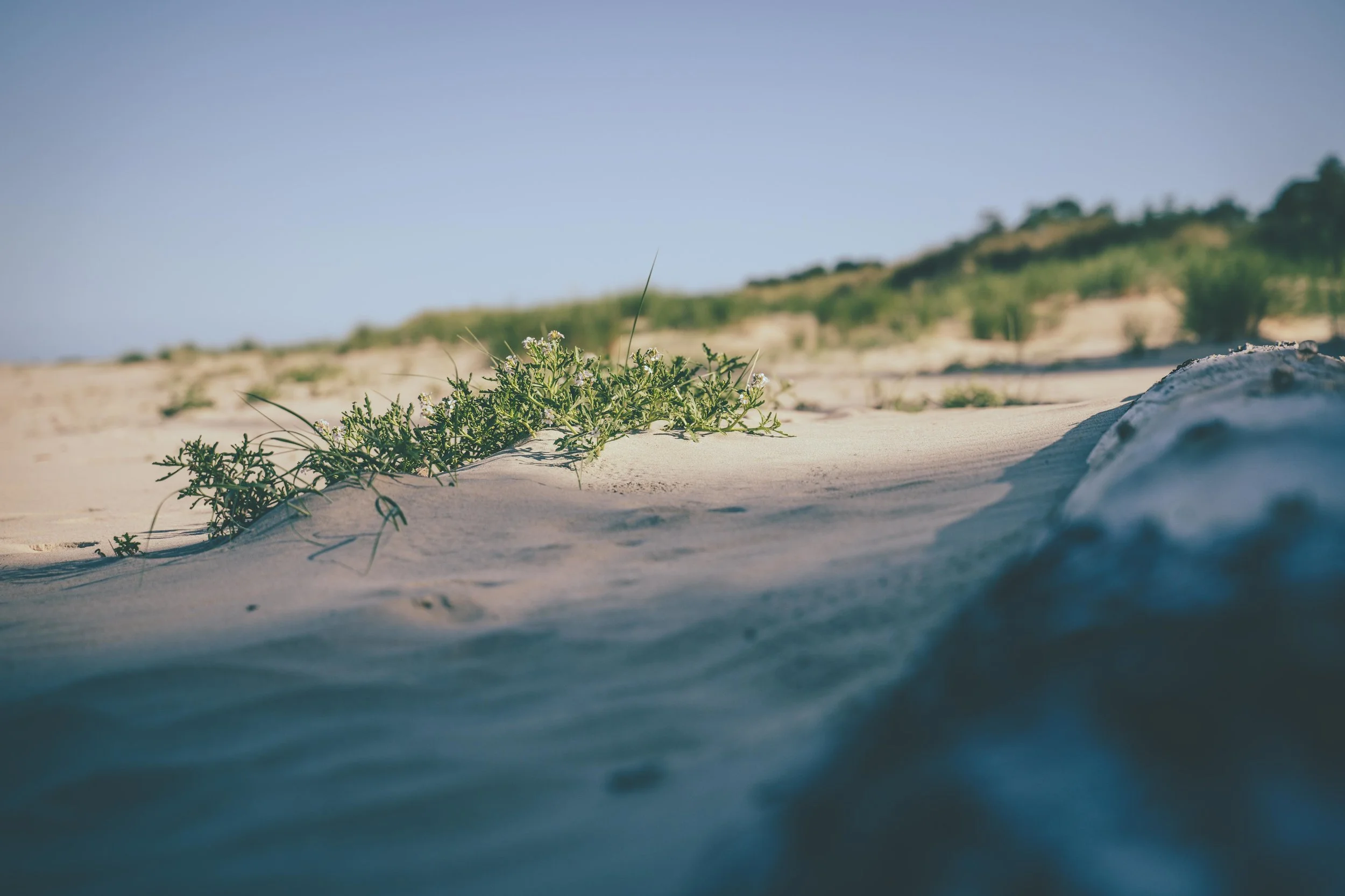 Road trip through Ireland's Ancient East: Wexford to Waterford — all ...