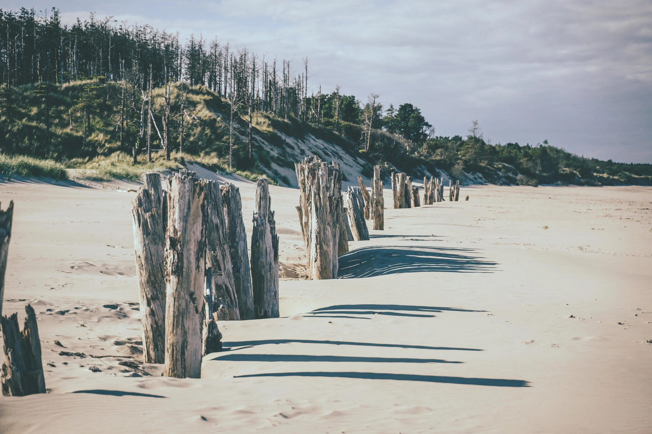 Road trip through Ireland's Ancient East: Wexford to Waterford — all ...