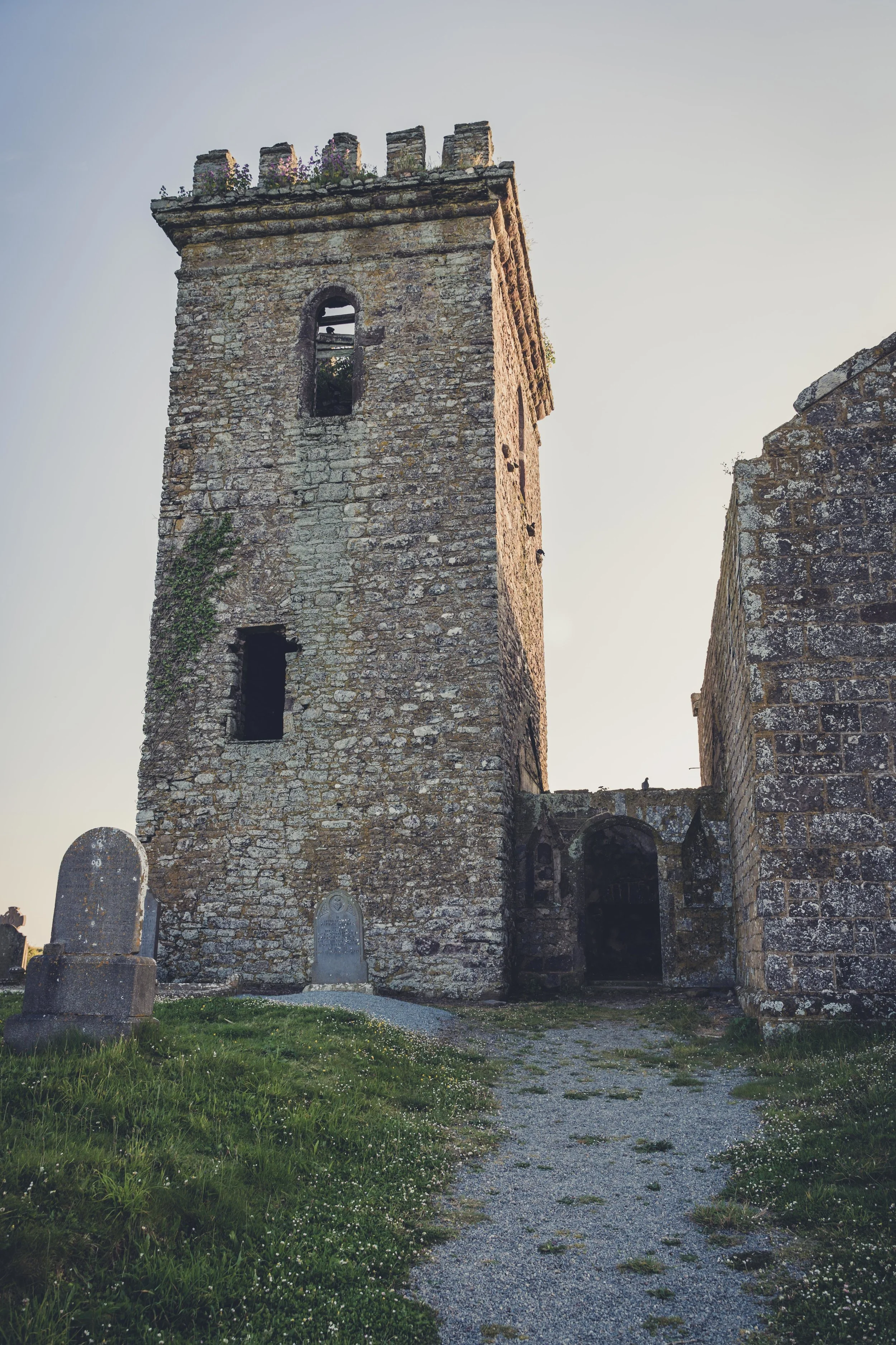 Road trip through Ireland's Ancient East: Wexford to Waterford — all ...