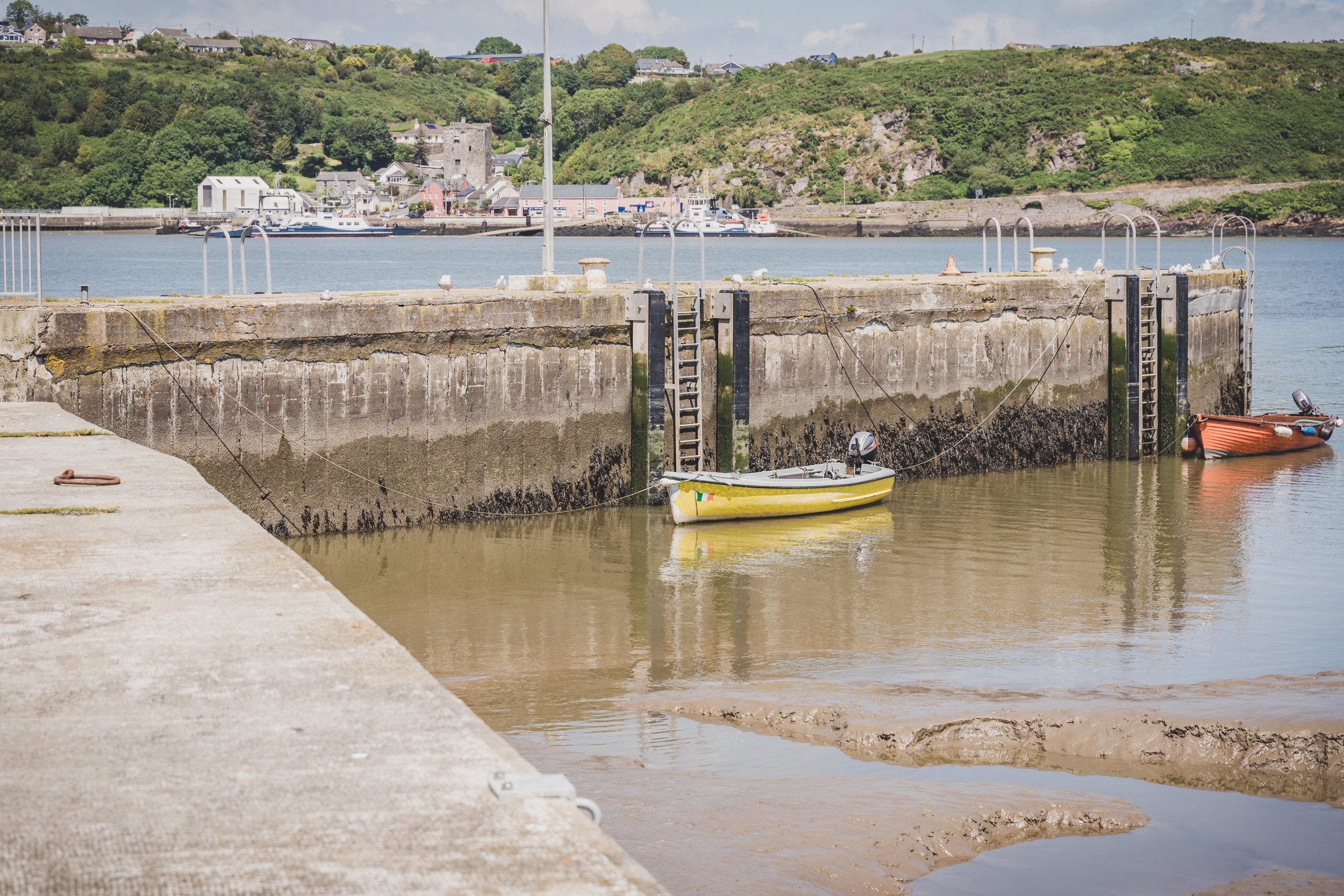 Road trip through Ireland's Ancient East: Wexford to Waterford — all ...