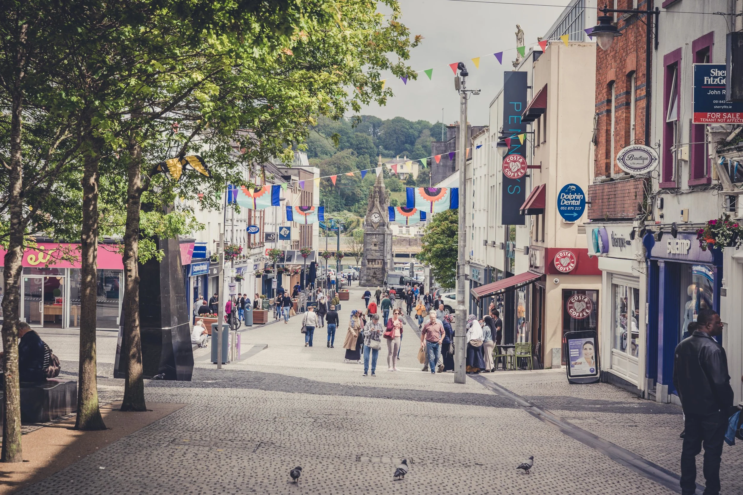 Road trip through Ireland's Ancient East: Wexford to Waterford — all ...