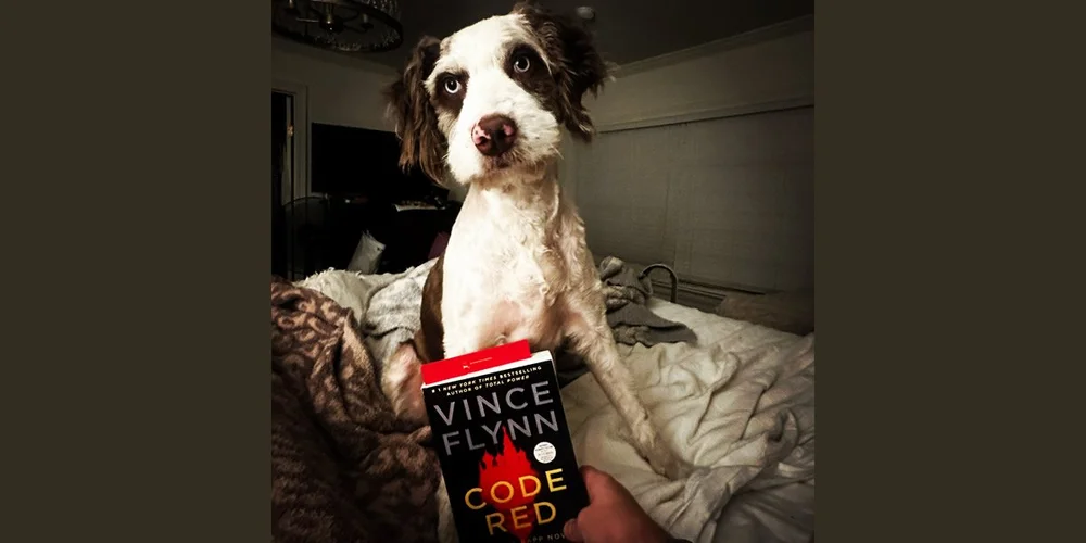 Fan Profiles — VinceFlynn.com