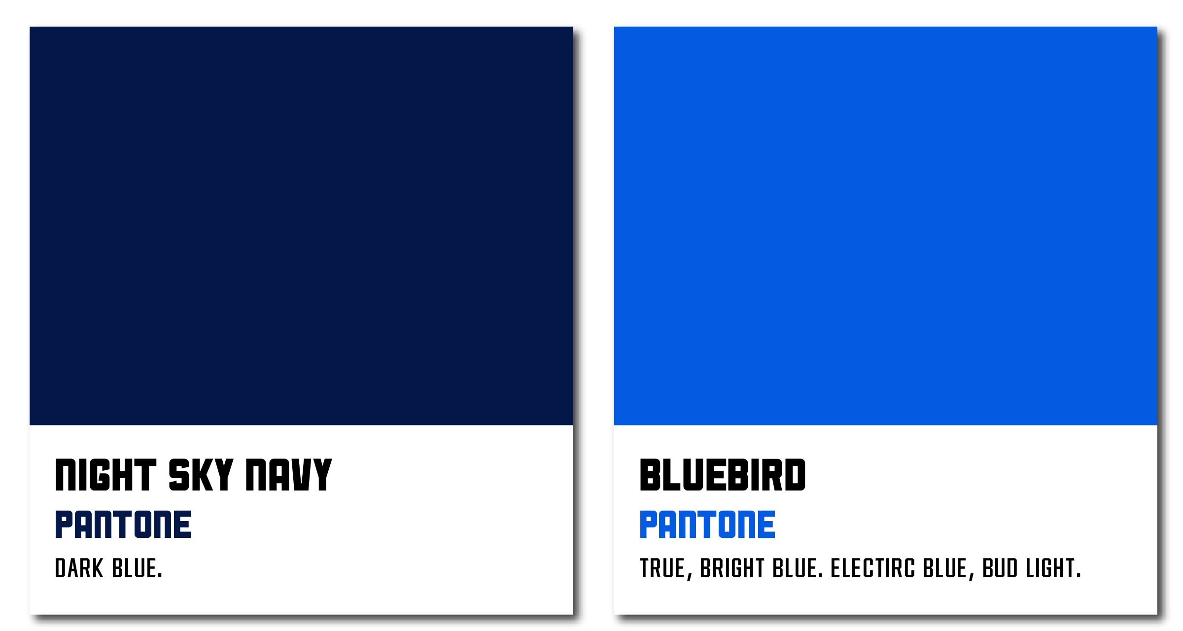 Dark Navy Blue Pantone