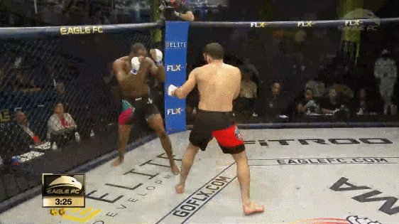 Ikram Aliskerov - The Quiet Dagestani — The Fight Primer