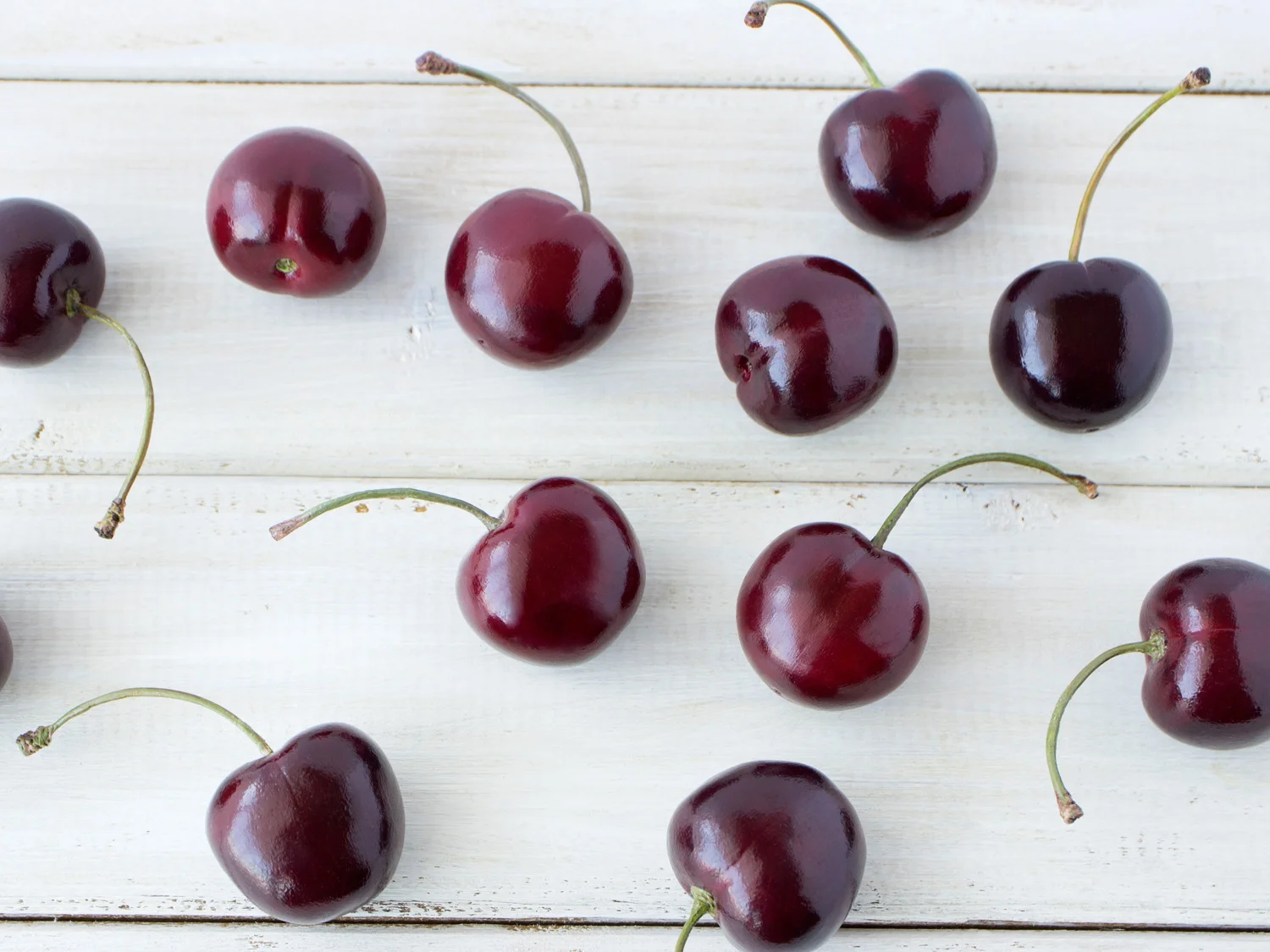 Dark Cherries Models — Olivia Vellani