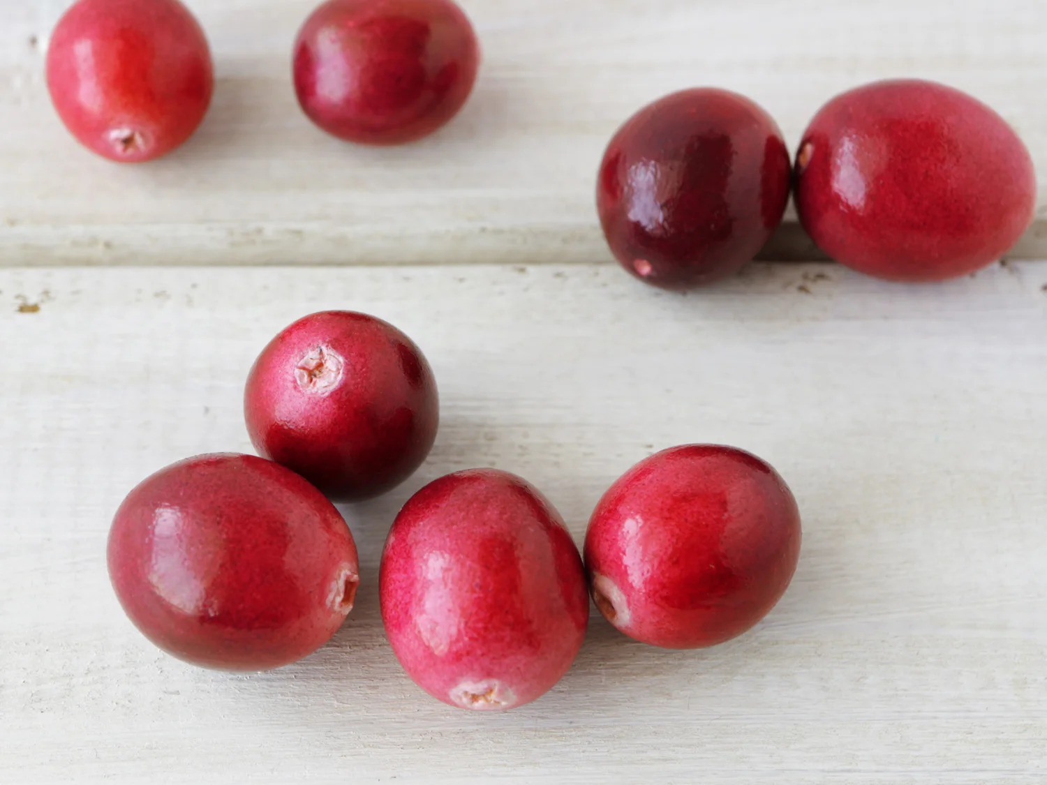 Cranberry Models — Olivia Vellani