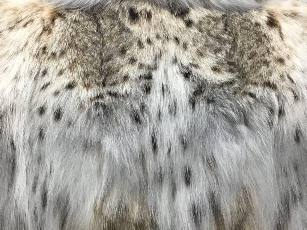 Fletcher Bensky Furs