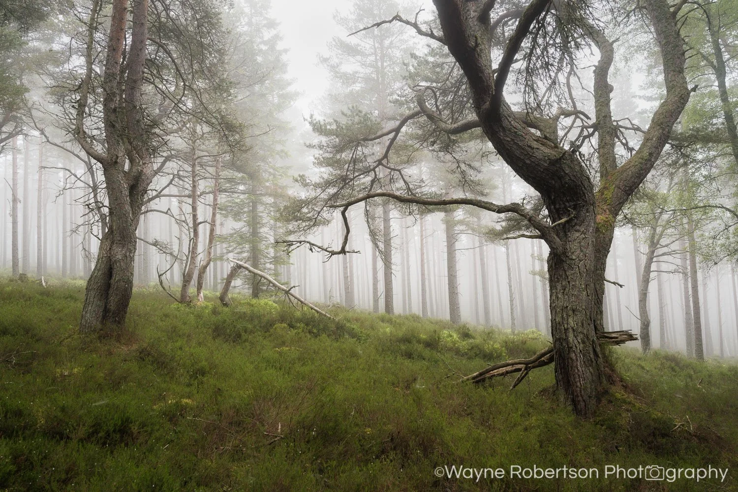 The Potential Damage Landscape Photography Photos and Videos Can Cause ...