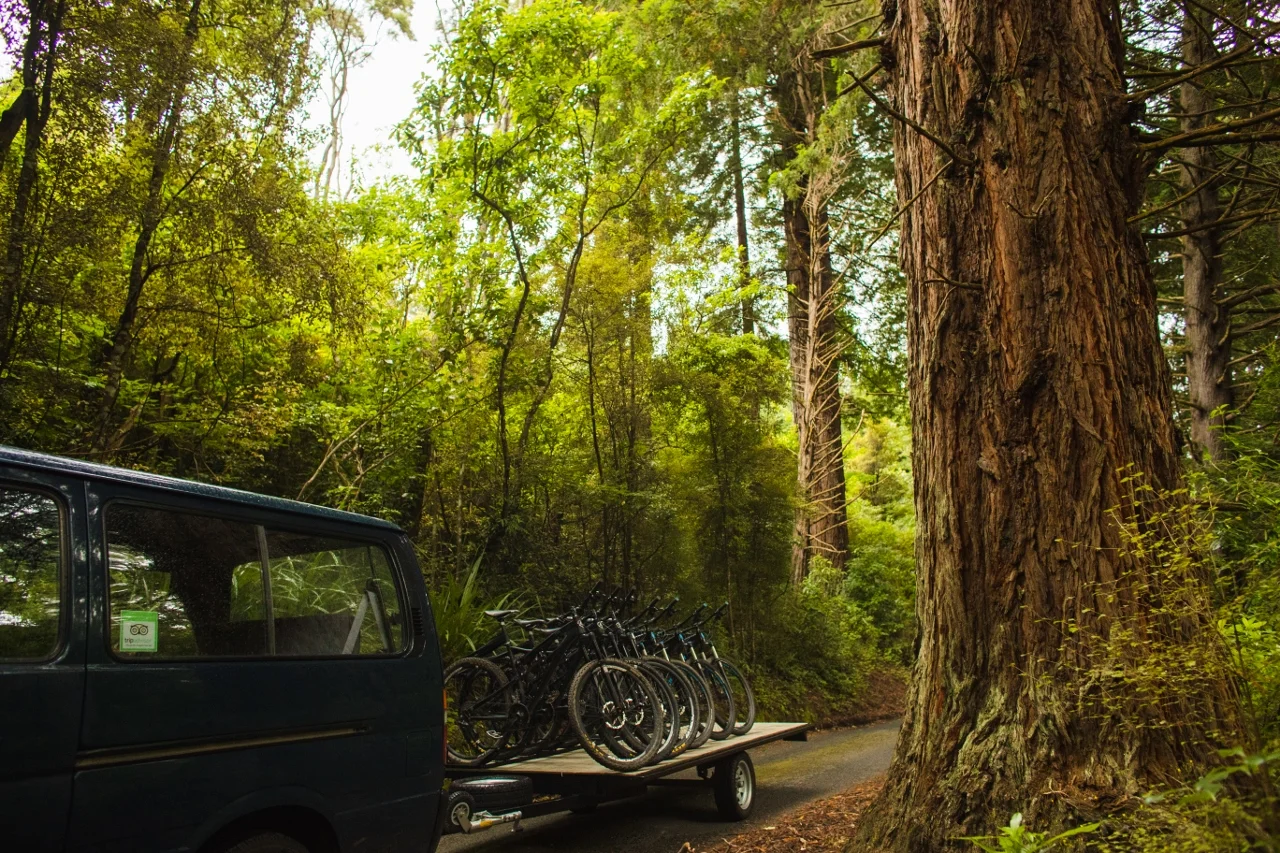 Dunedin bike rides — iBike Hire