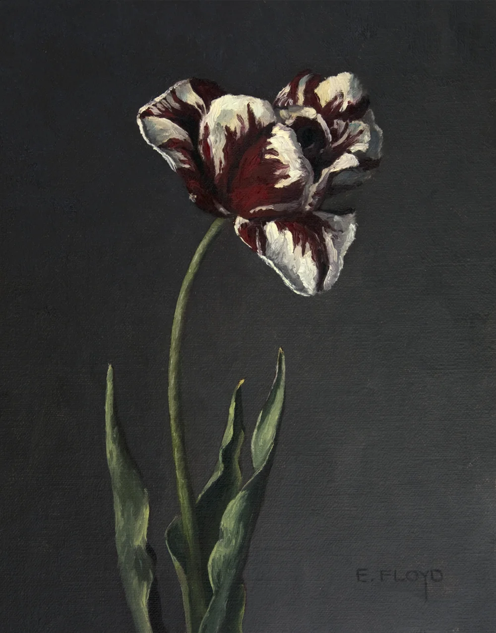 Rembrandt Still Life