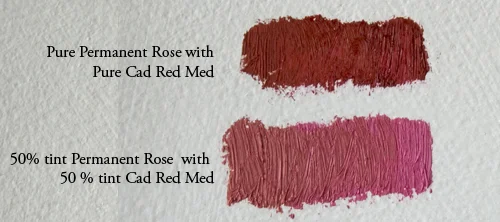 Favorite Paint Mixtures: Permanent Rose (PV19) — Elizabeth Floyd