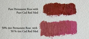 Favorite Paint Mixtures: Permanent Rose (PV19) — Elizabeth Floyd