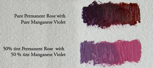 Favorite Paint Mixtures: Permanent Rose (PV19) — Elizabeth Floyd