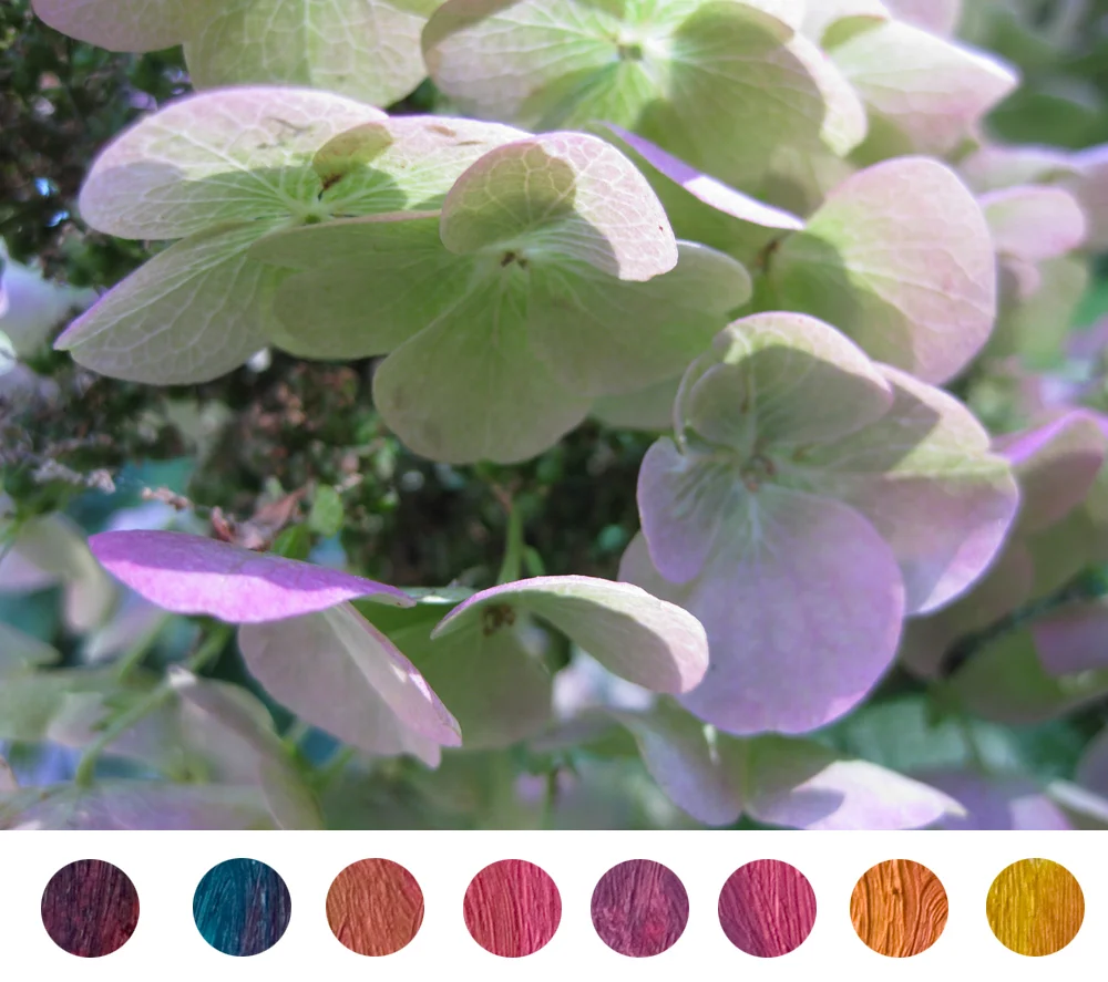 Favorite Paint Mixtures: Permanent Rose (PV19) — Elizabeth Floyd