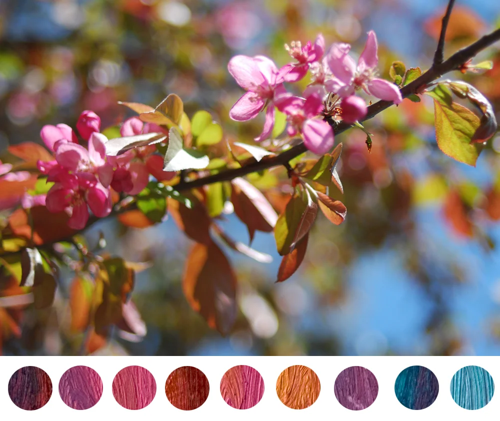 Favorite Paint Mixtures: Permanent Rose (PV19) — Elizabeth Floyd