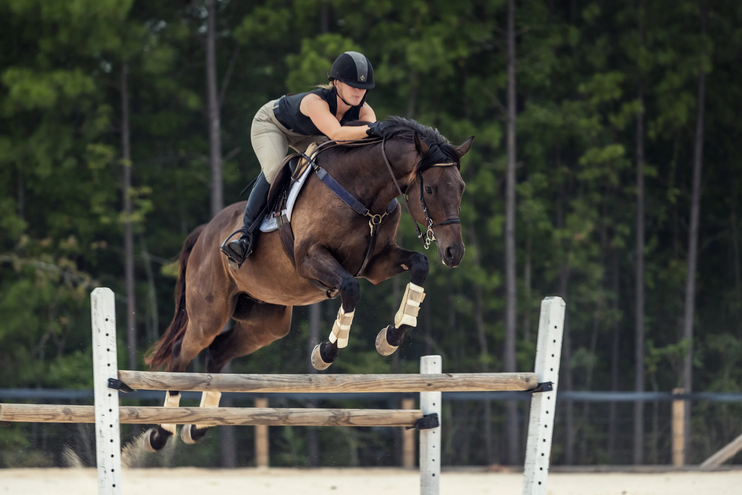 About — Elhanan Equestrian