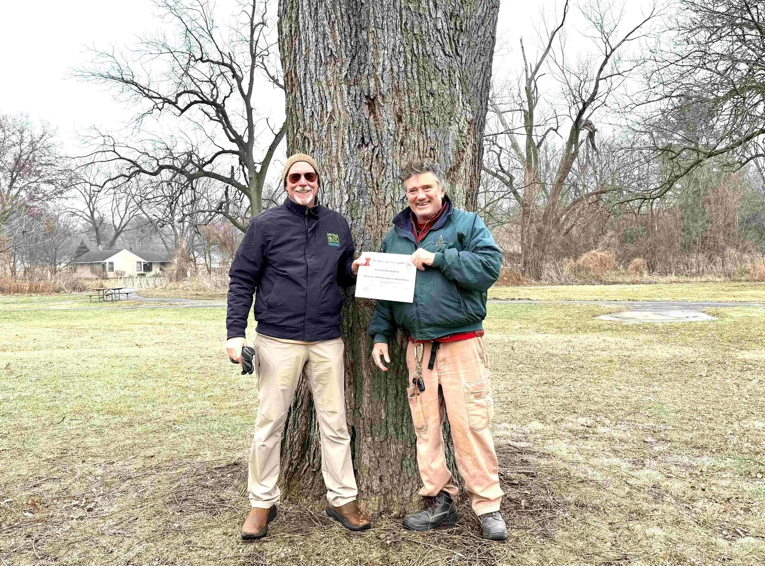 Two Illinois State Champion Trees Recognized at Dahlquist Park ...
