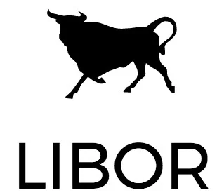 About — Little Investment Bankers of Rutgers
