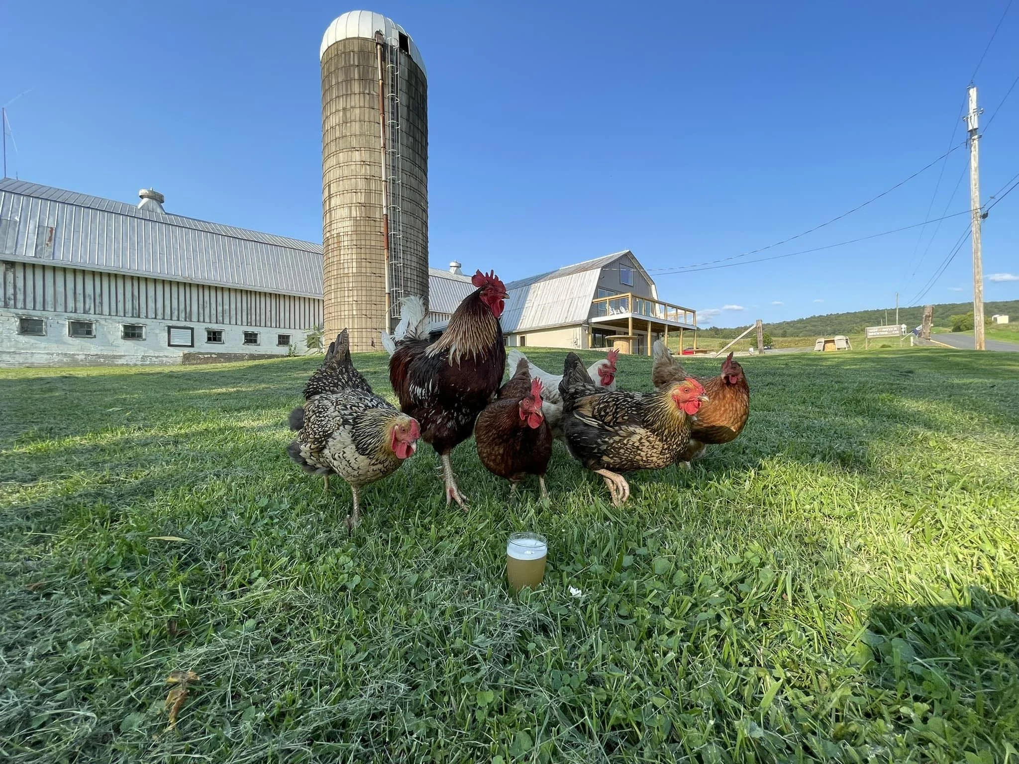 Best Breweries Along Seneca Lake Scenic Byway