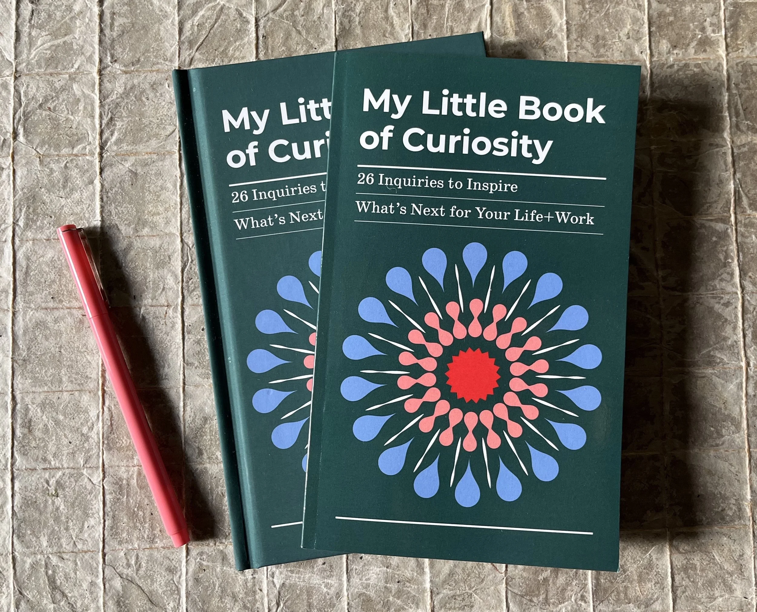 Books — Sustainable Ambition