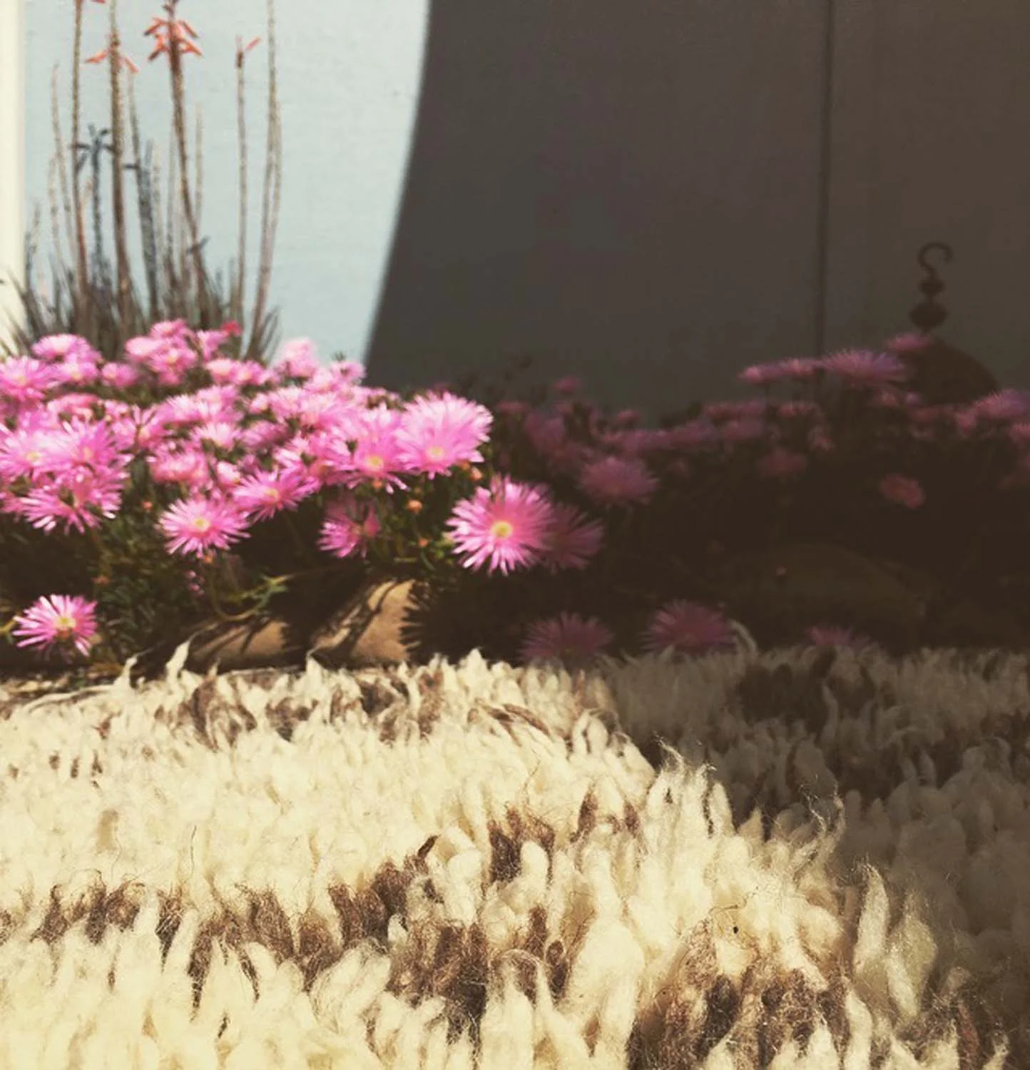 Gallery — Darna Design | Moroccan Crafts