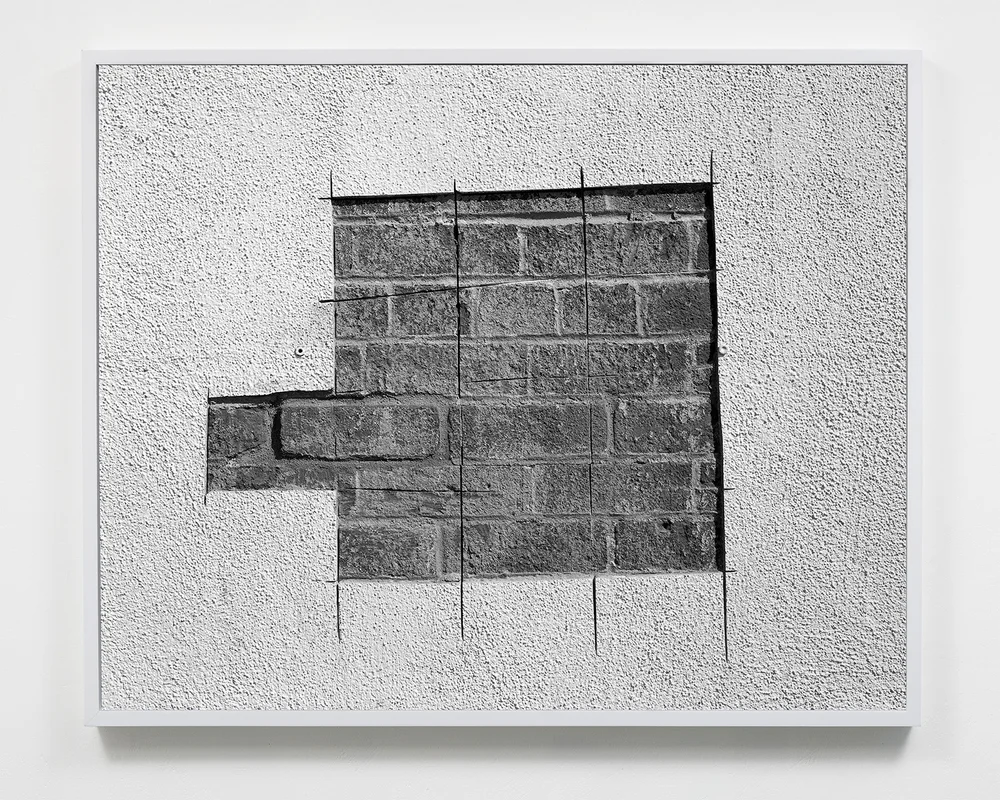 Windows — Mark Armijo McKnight