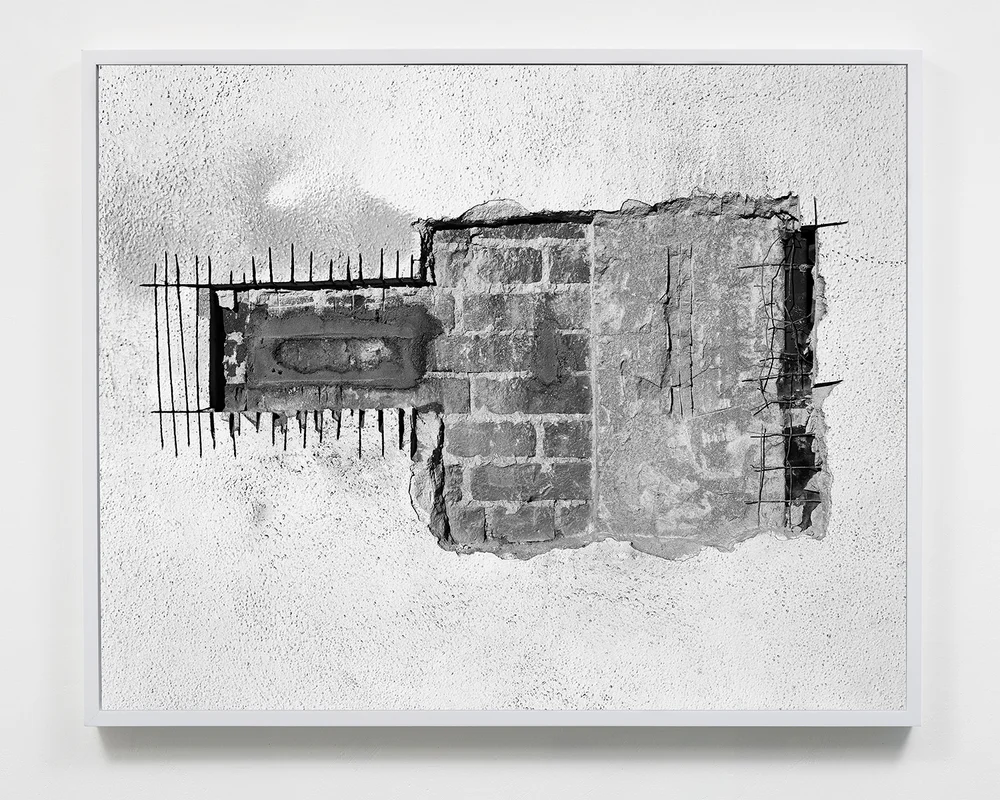 Windows — Mark Armijo McKnight