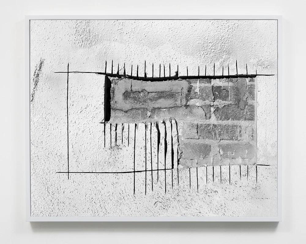 Windows — Mark Armijo McKnight
