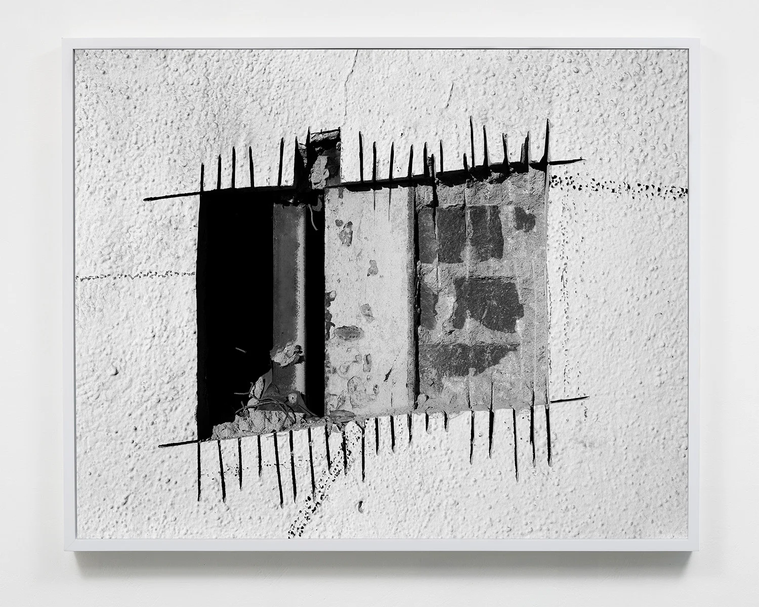 Windows — Mark Armijo McKnight