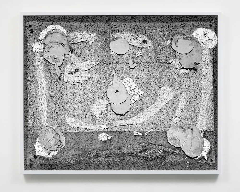 Removals — Mark Armijo McKnight