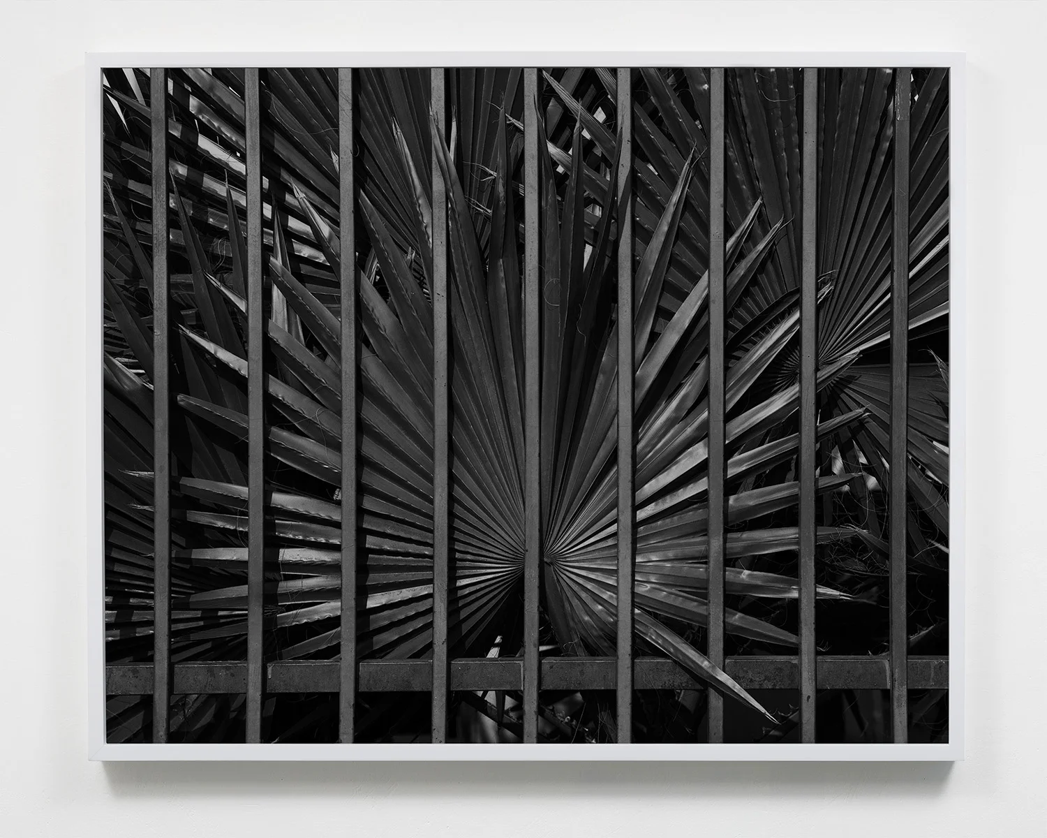 Untitled (Los Angeles landscapes) — Mark Armijo McKnight