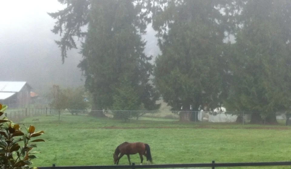 Our Facility — Hunter's Run Equestrian Center