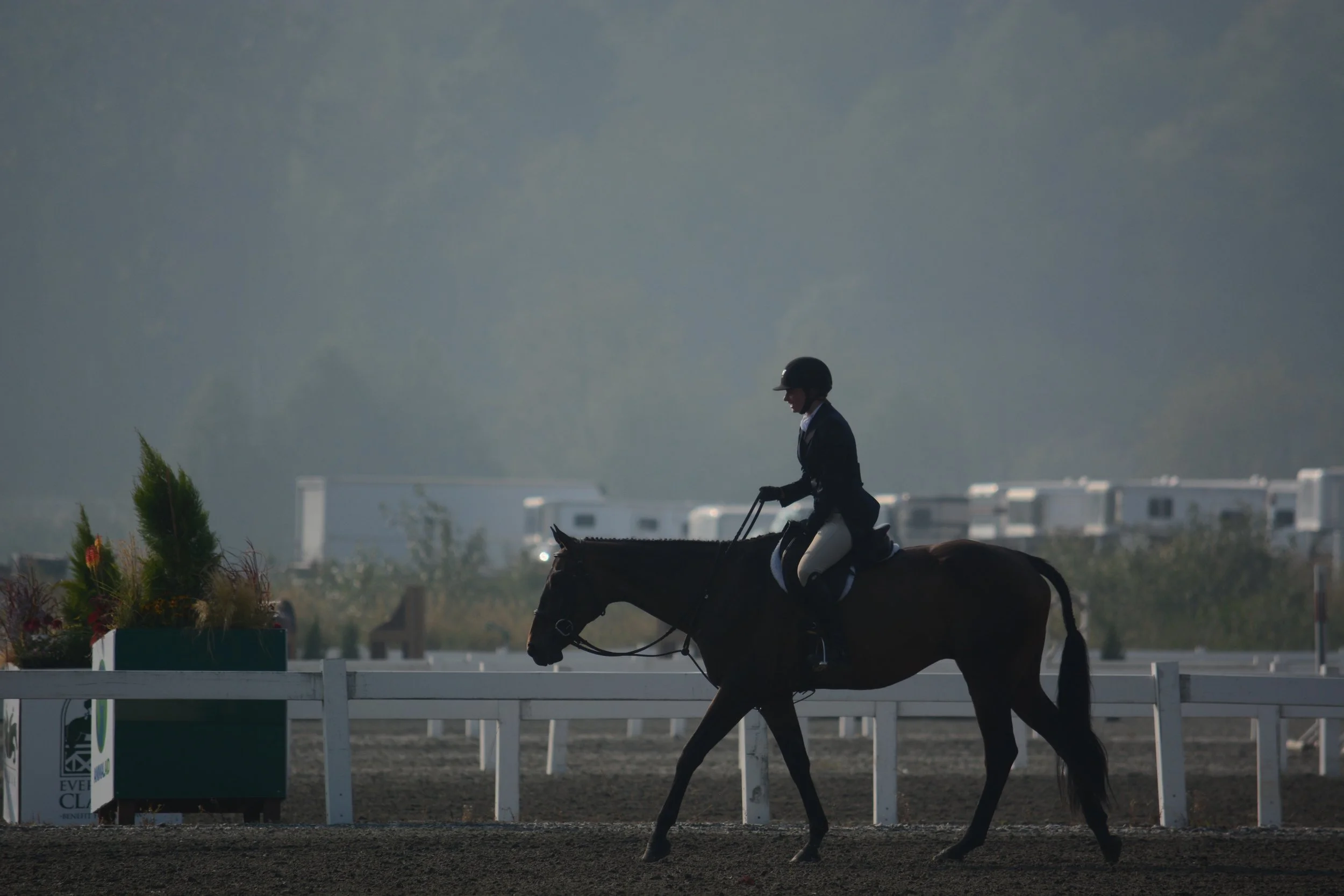For Sale or Lease — Hunter's Run Equestrian Center