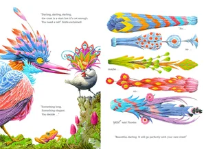 Rod Clement — Rod Clement – Feathers for Phoebe
