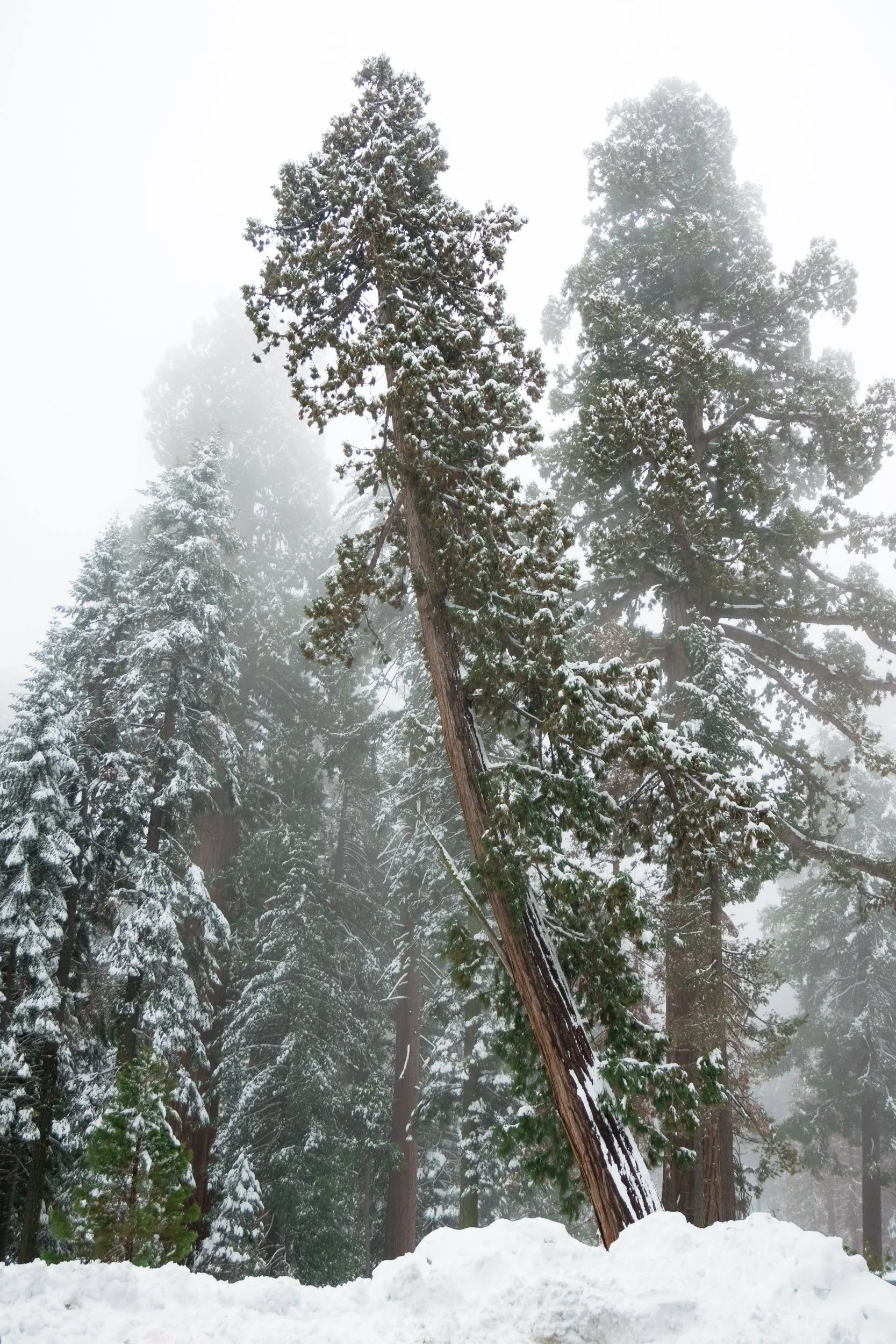Austin Sudweeks | Fine Art Landscape Photography
