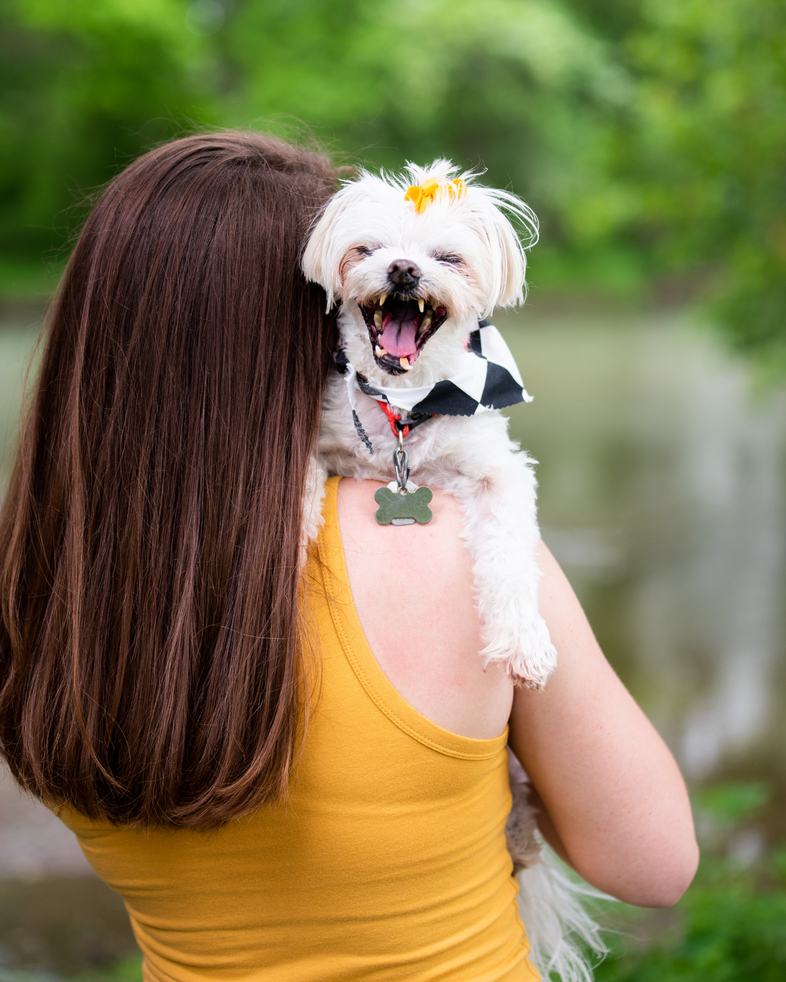 Riley With Her Dog Gypsy — Kyla Jo Photography
