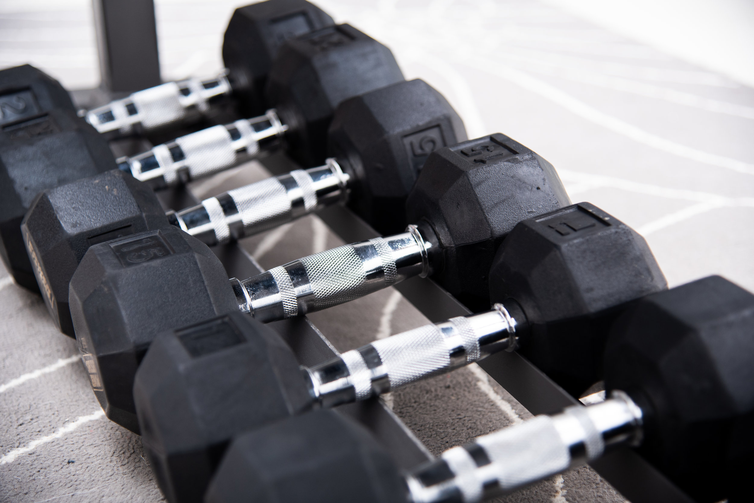 Ashlee Anderson Fitness - Commercial Photography — Kyla Jo Photography