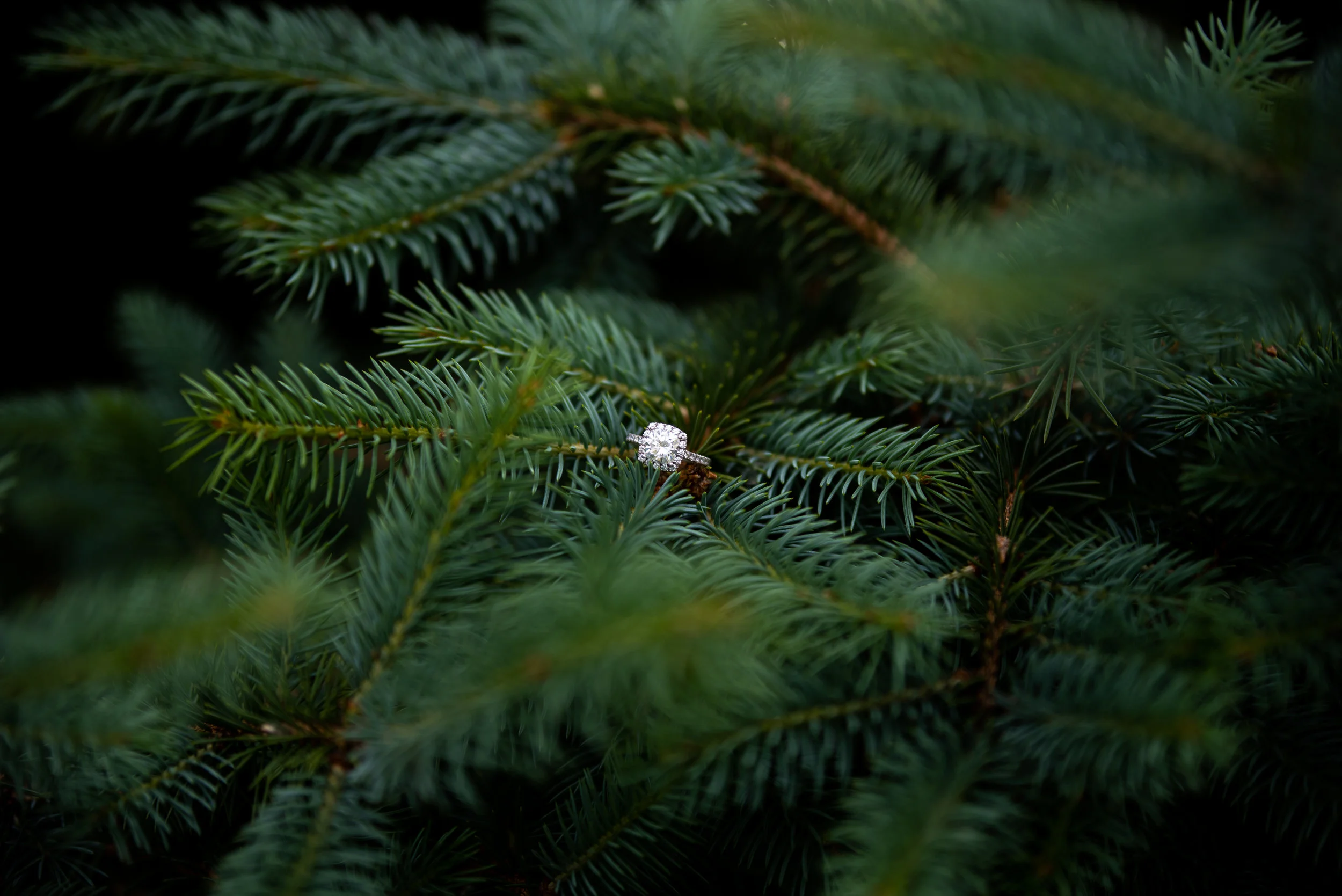 Emma & Brandon - Engagement — Kyla Jo Photography