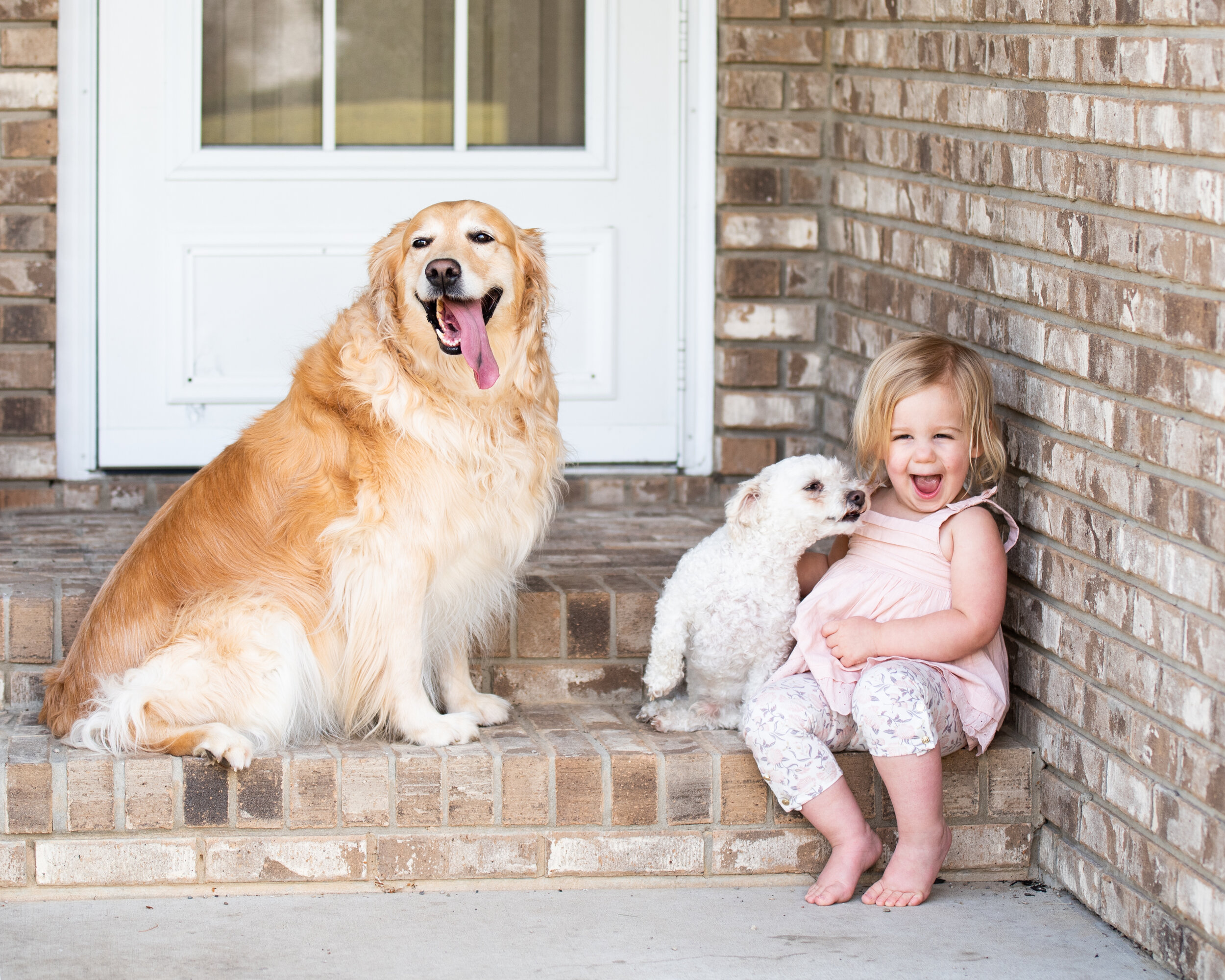 Front Porch Quarantine Photo Session — Kyla Jo Photography