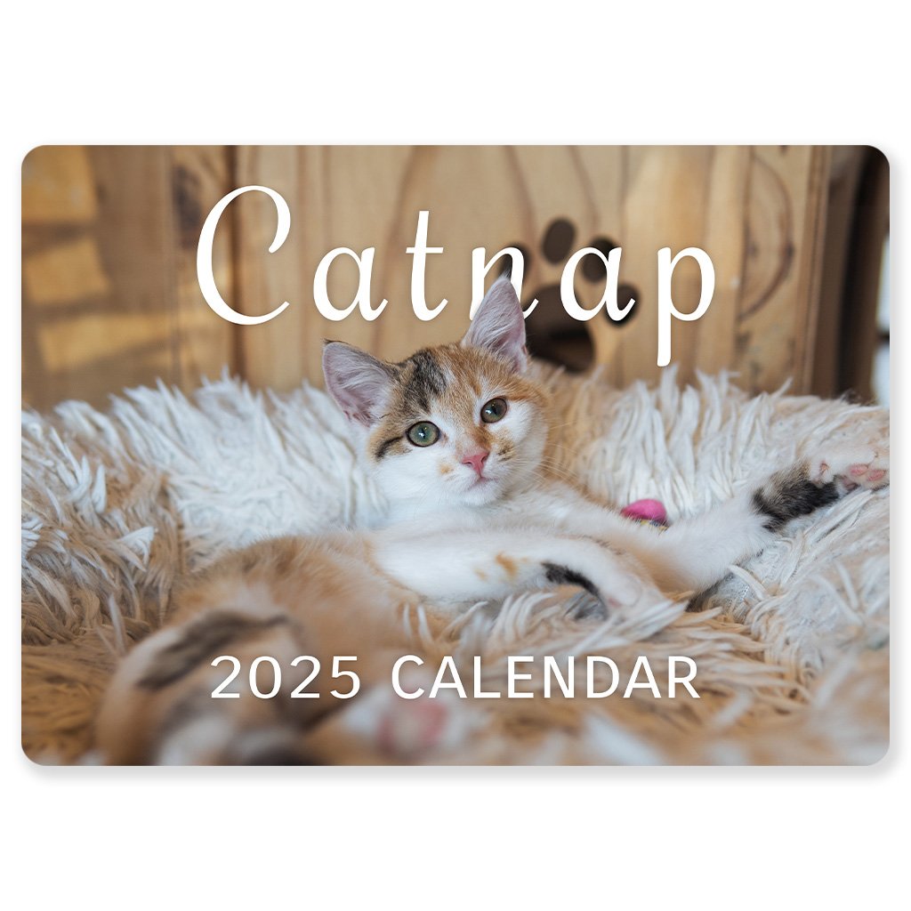 Catnap