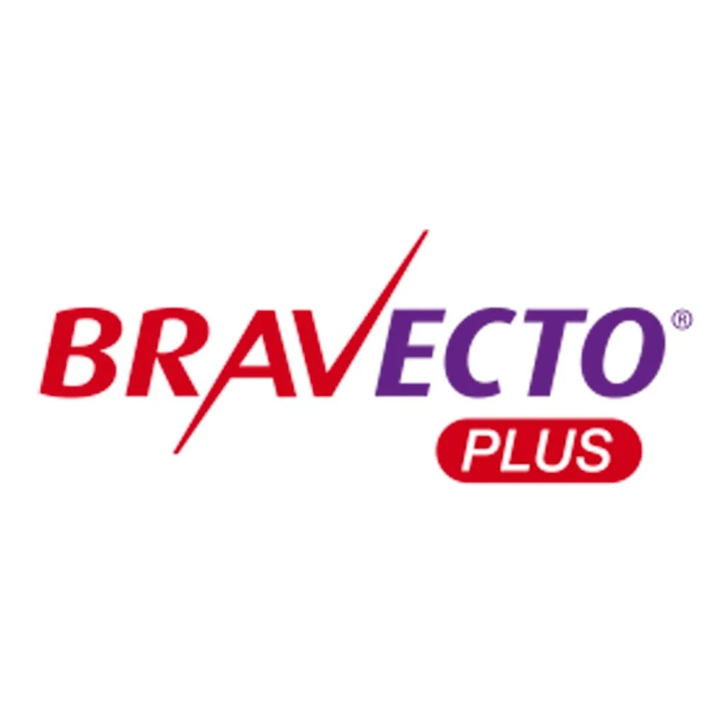 Catnap - Our Friends