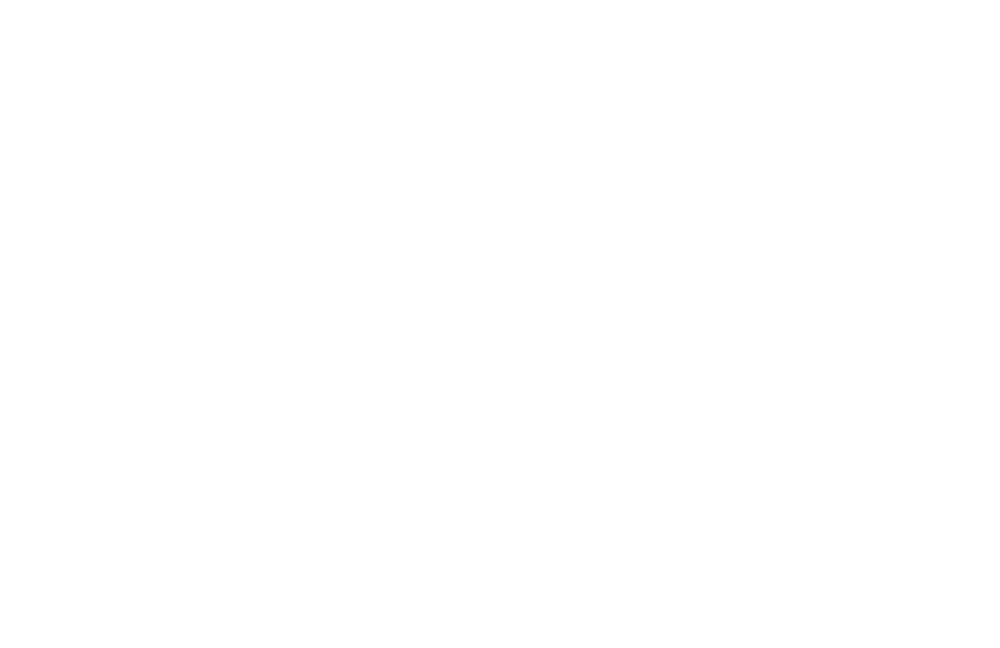 Briscoe Lane Academy