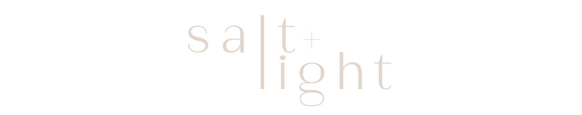 City Loft Apartment — Salt + Light
