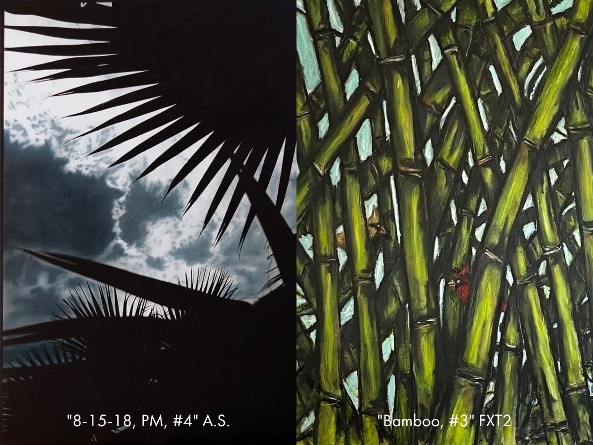 Exhibitions — Andrew Durham Gallery