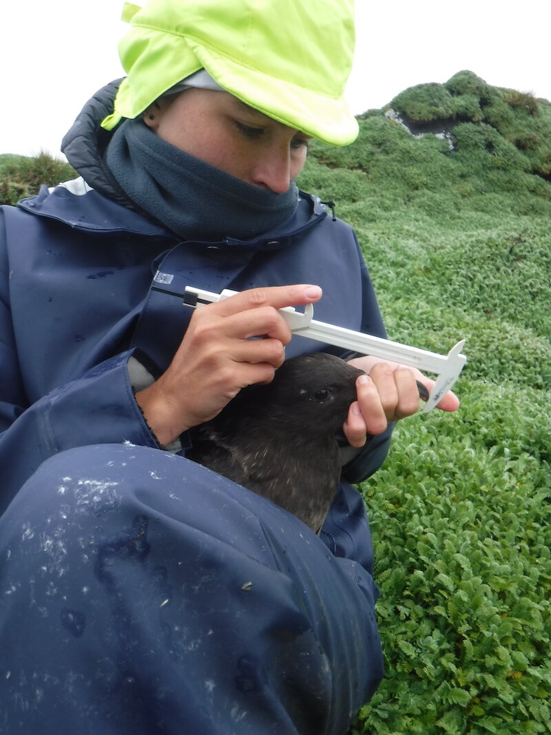 BatOneHealth — Leading women in science and research at Bat OneHealth