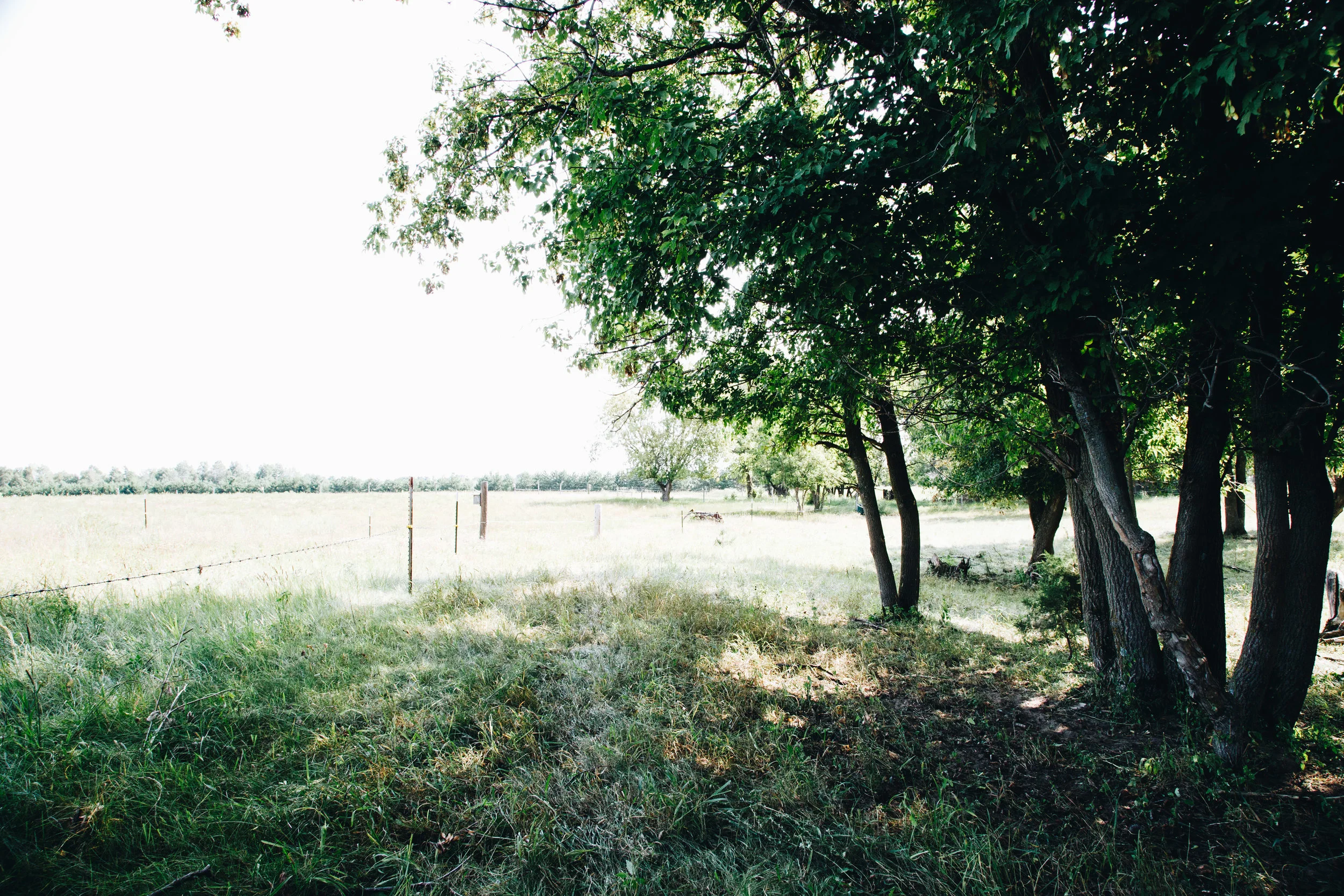 About Us — Greener Pastures