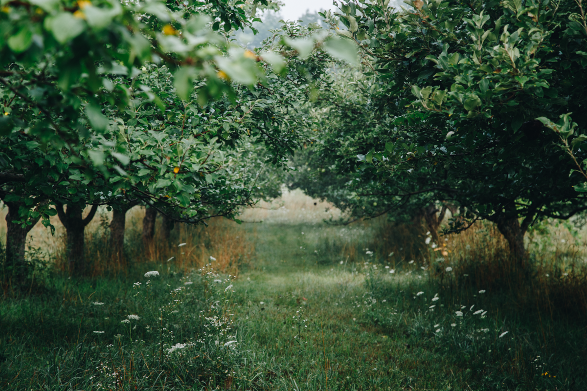 Greener Pastures