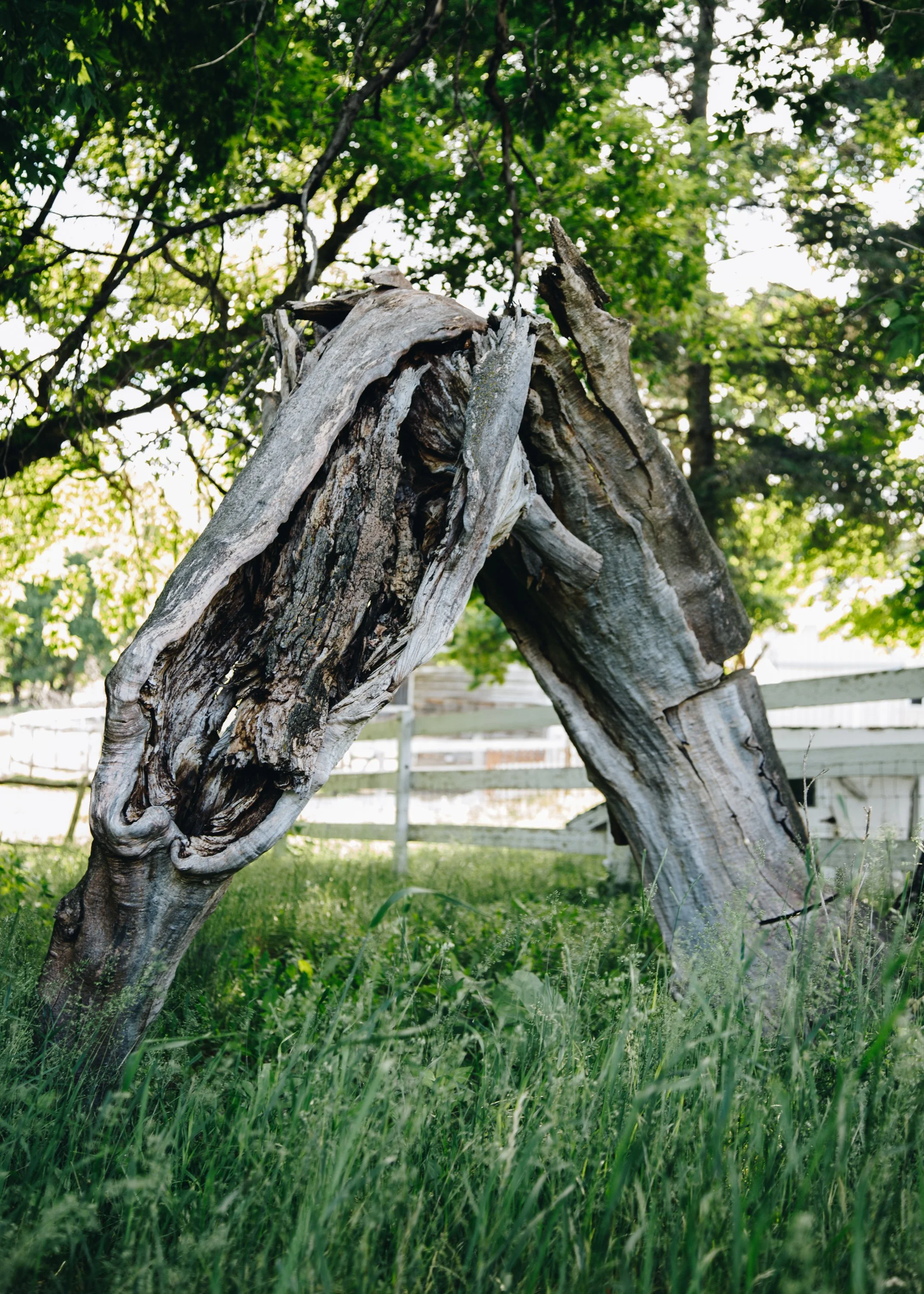 Farming as a Way of Life: In Conversation with Rough and Tumble Farm ...